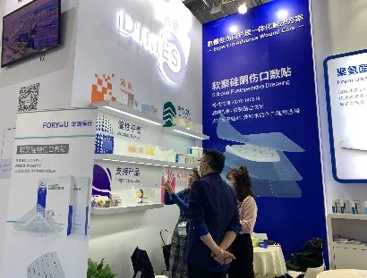 Company Overview - Huizhou Foryou Medical Devices Co., Ltd.