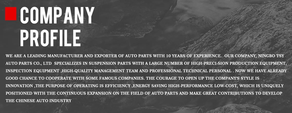 Company Overview - Ningbo TSY Auto Parts Co., Ltd.