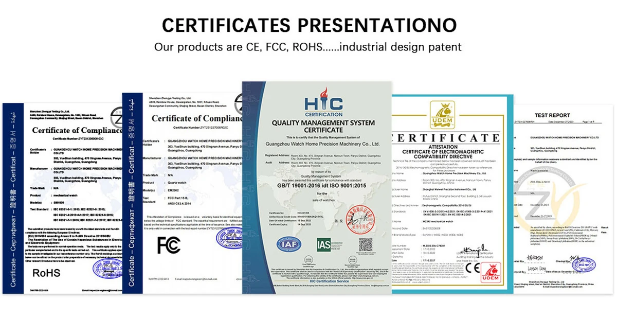 Company Overview - HK WATCH HOME CO., LIMITED