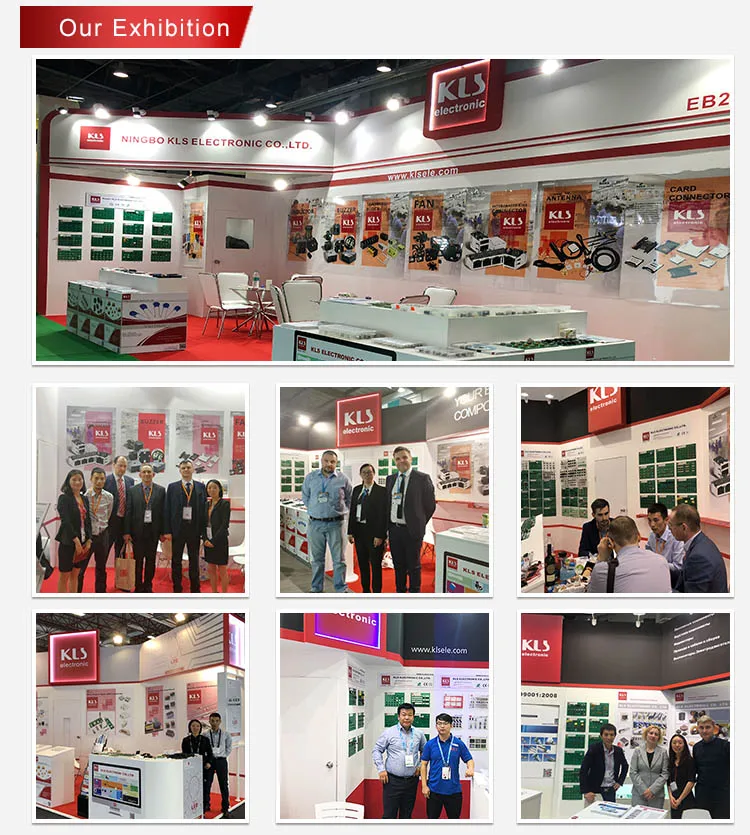 KLS Snap Acting Switch 2A 5A 16A 125V 250V SPDT Miniature Straight left ...