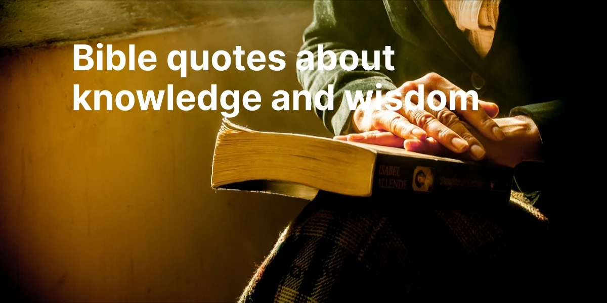 100+ Bible Quotes About Knowledge and Wisdom for Daily Inspiration