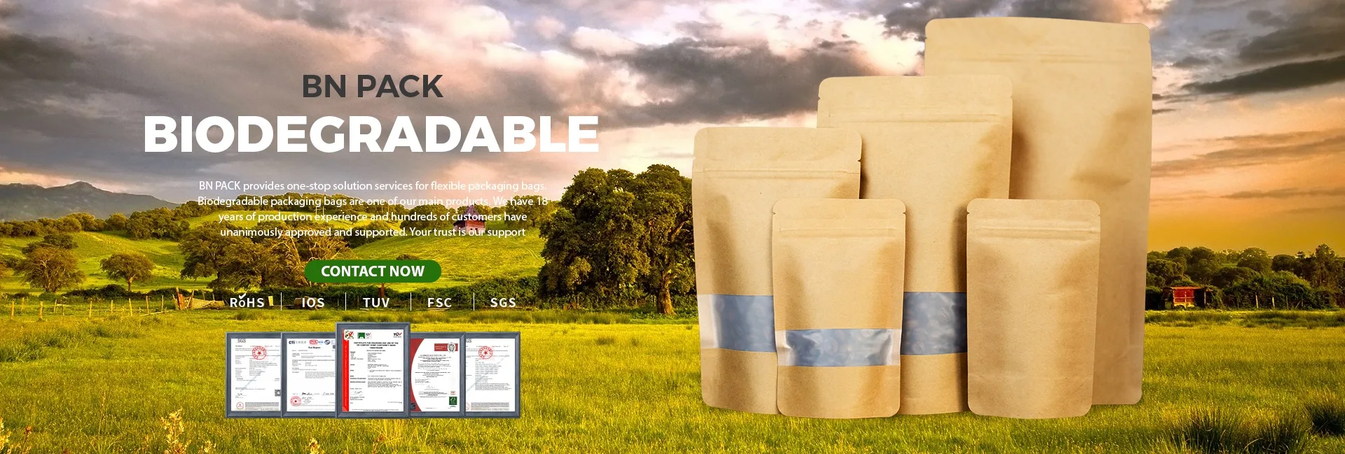 Foshan Bn Packaging Co., Ltd. - Coffee Pouch/Food Pouch/Spout Pouch ...