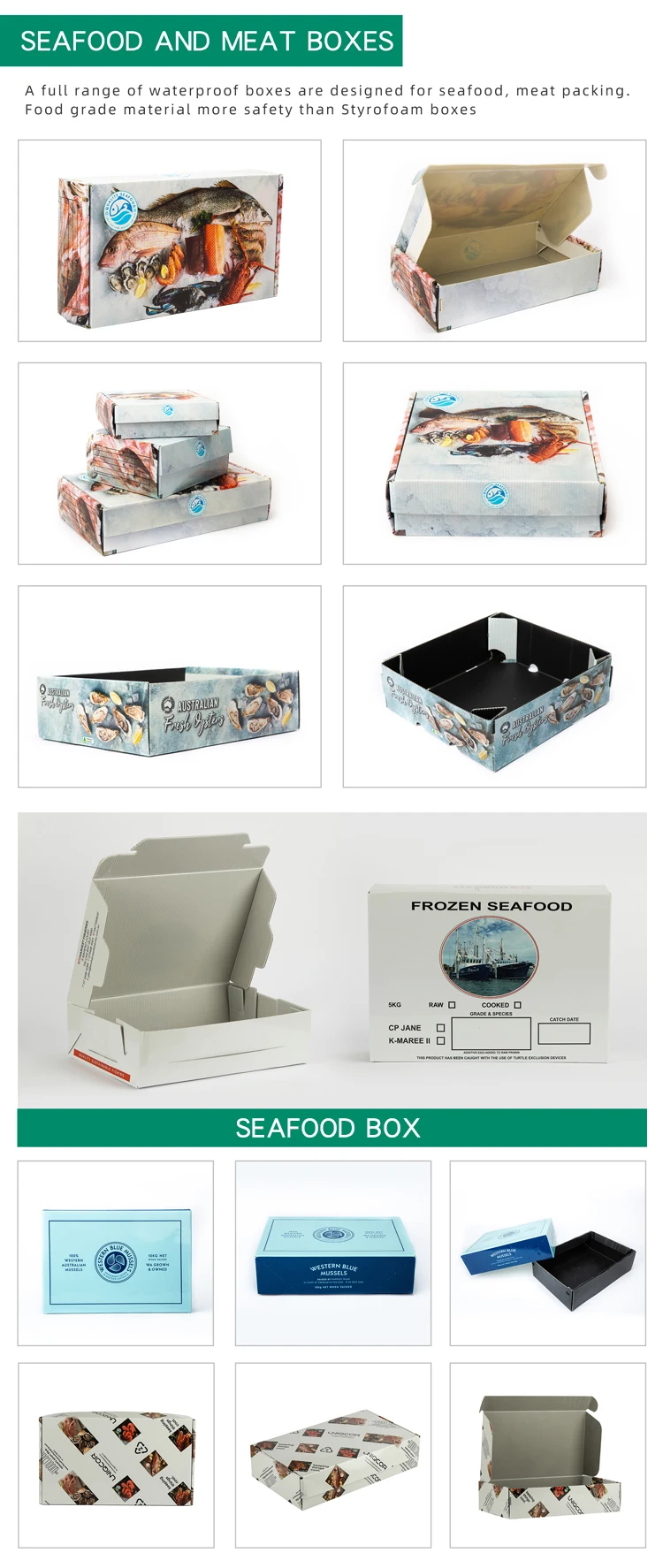 PE Box Oyster - Corrugated Plastic Box for Seafood Packaging
