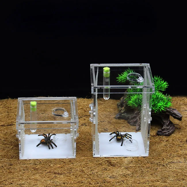 Transparent Acrylic Insect Breeding Box for Tarantula Aunt