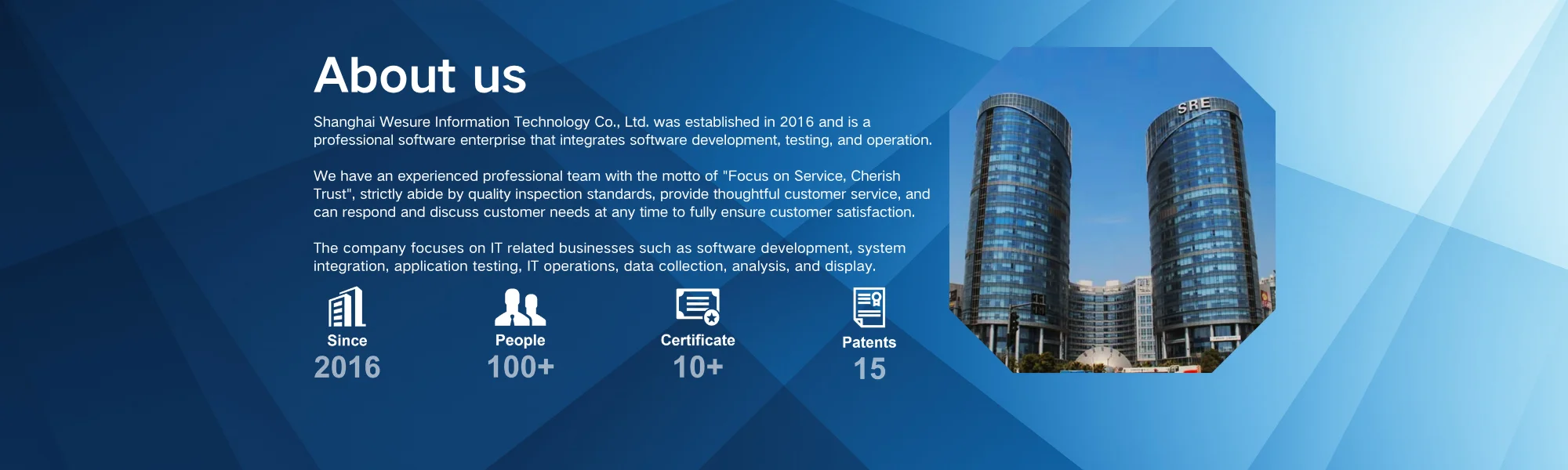 Company Overview - Shanghai Wesure Information Technology Co., Ltd.