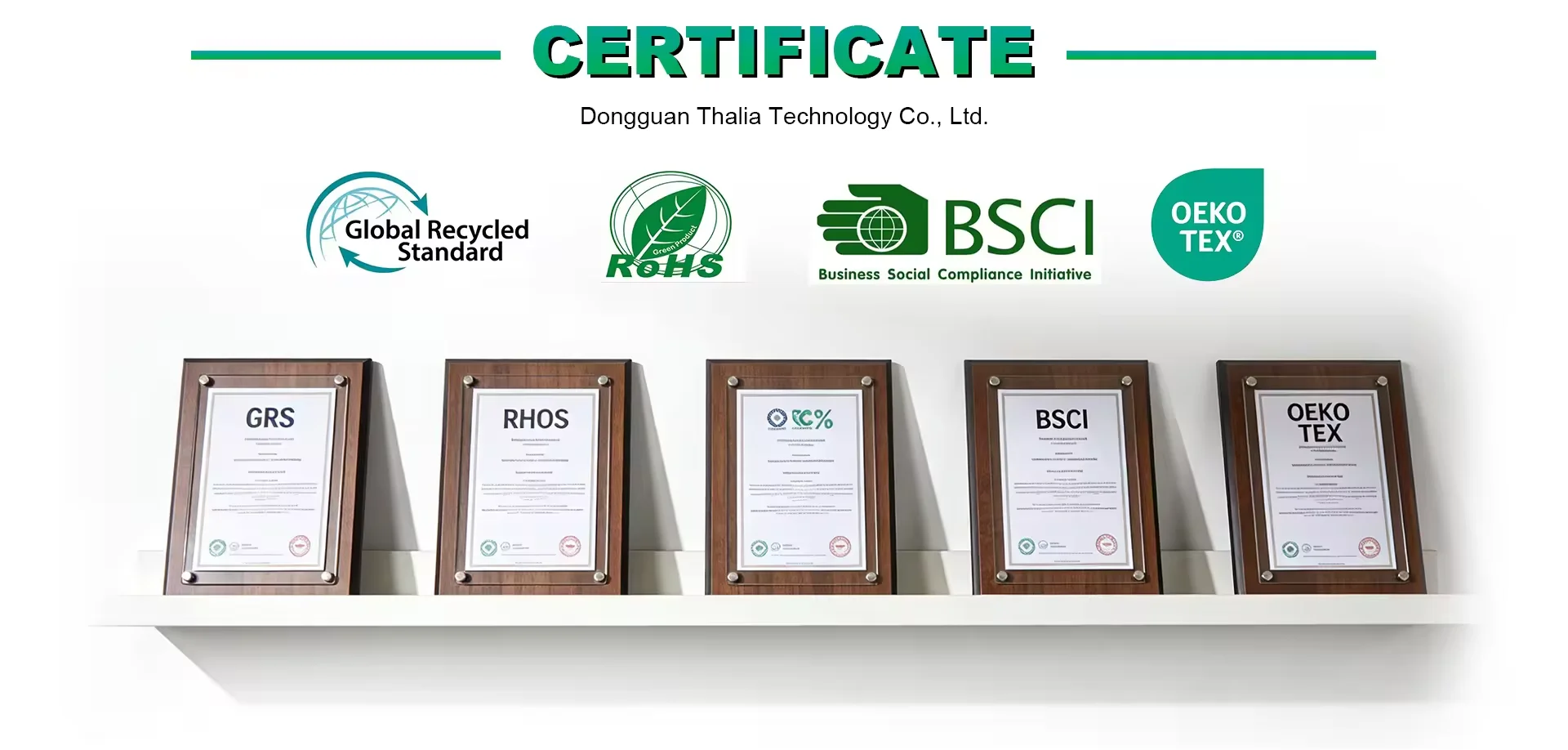 Company Overview - Dongguan Gaea Technology Co., Ltd.