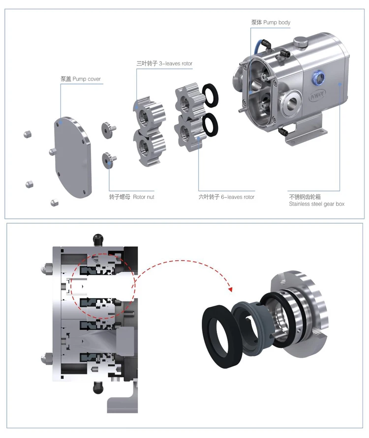 Mini Type Lobe Pump - Stainless Steel Rotary Pump for Dairy, Food ...