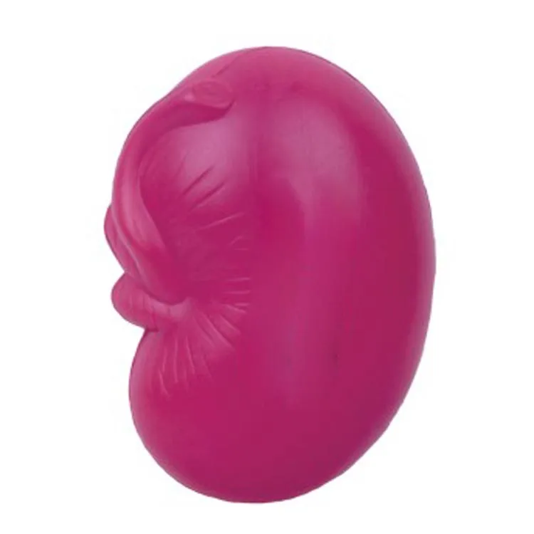 Custom Pu Reliever Human Organ Lung Soft Anti Stress Toy - Buy ...