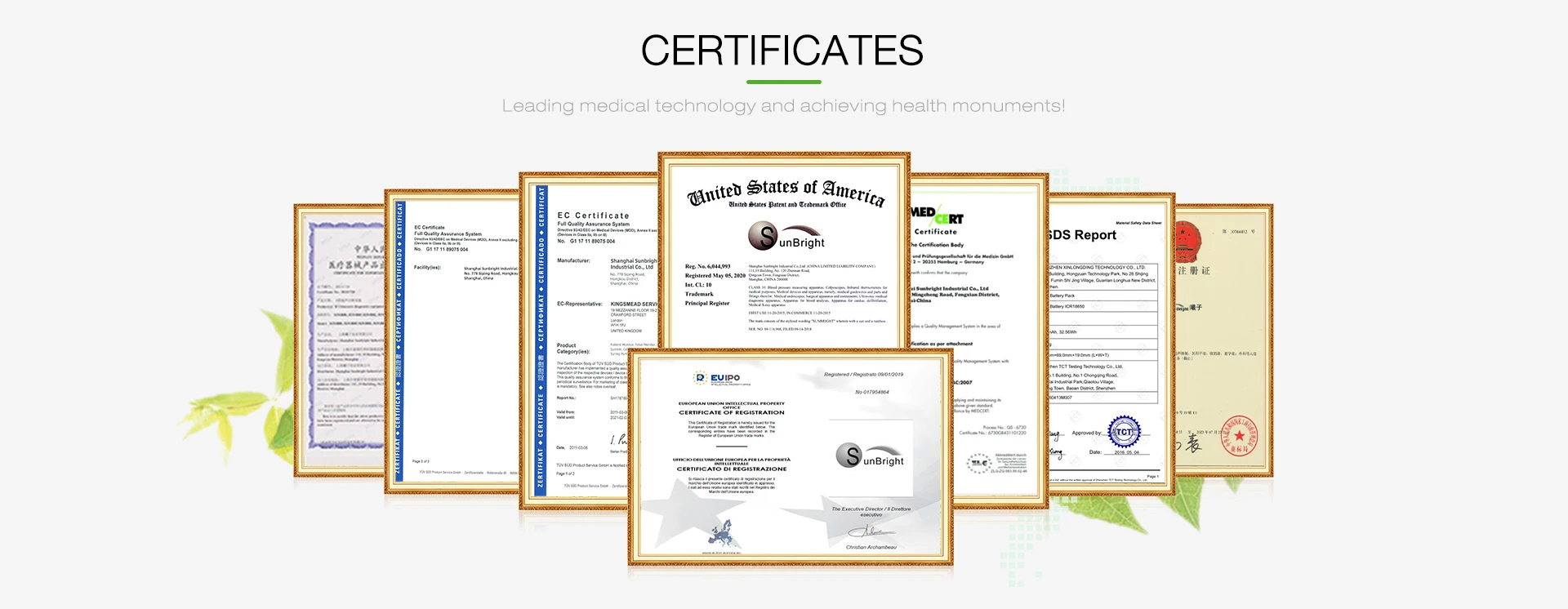 Sunbright Electric at Rita Skelley blog