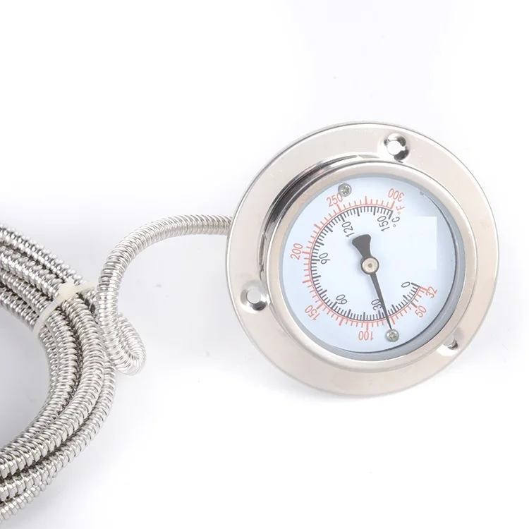 Vibration-resistant Stainless Steel Pressure Thermometer Wtz-280-n 100 ...