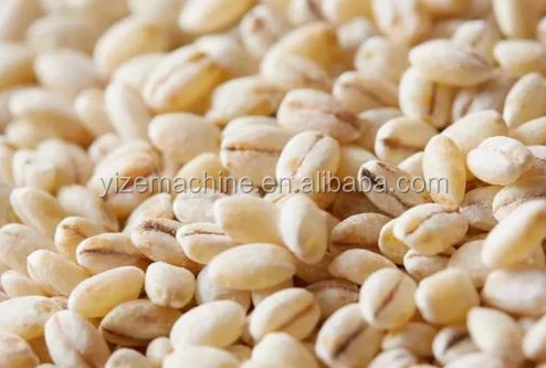 Wheat Bulking Machine - High Productivity Puffing Solutions