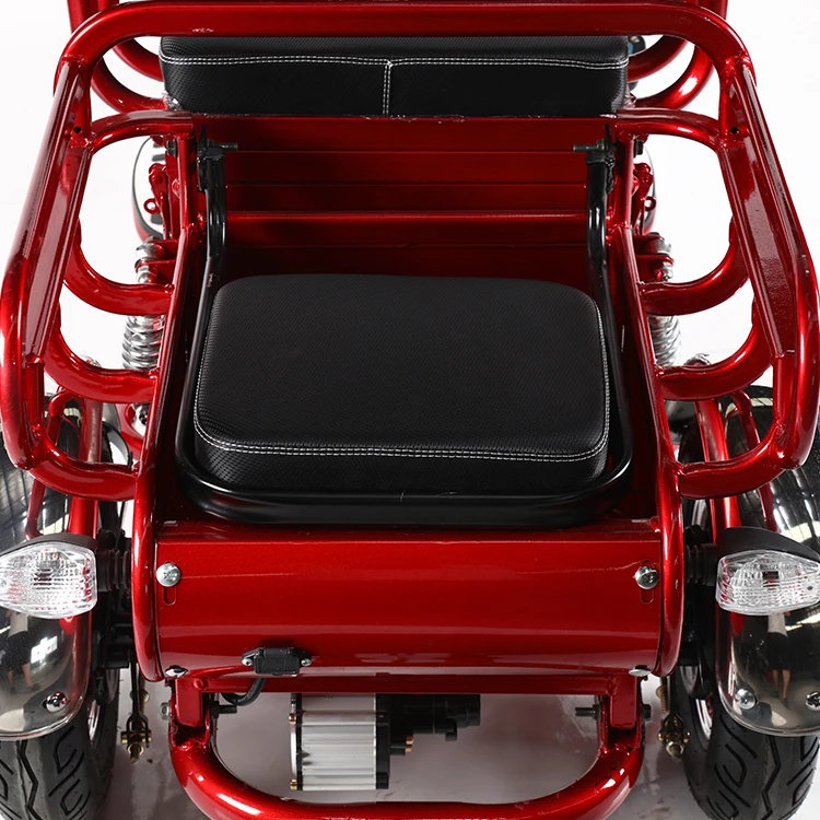 Electric Powered Tricycle for Two in Egypt - 500W Motor