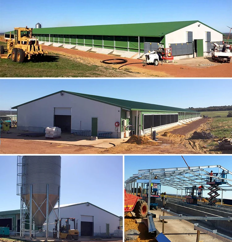 Low Cost Industrial Steel Egg Chicken Poultry Farm House Construction ...