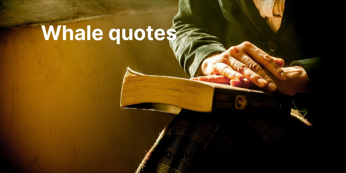 Whale Quotes: Wisdom from the Deep