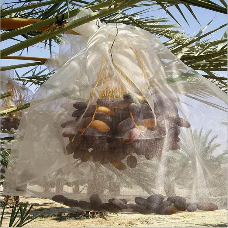 Green Dates Mesh Bags - Best Quality and Competitive Price