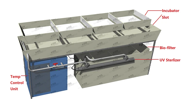 High Hatching Rate Trout Farming Equipment Commercial Fish Hatchery ...