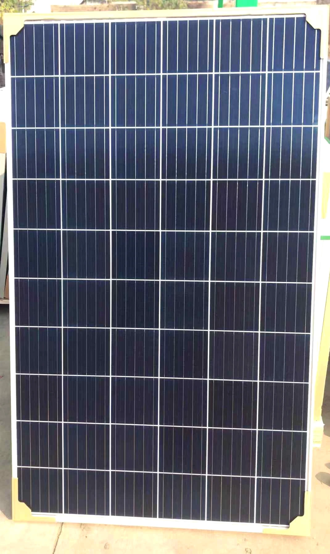 Risen Solar Panels - Efficient Poly Crystalline Solutions