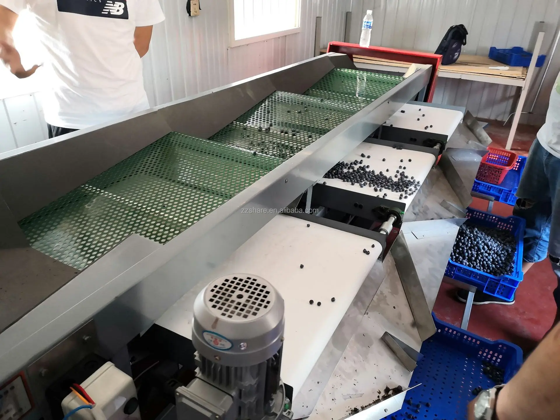 Best Selling Fruit Size Blueberry Sorting Machine - 400kg/h