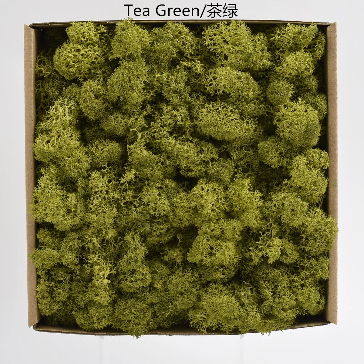 500g Decorative Preserved Moss in Box for Wall Decoration