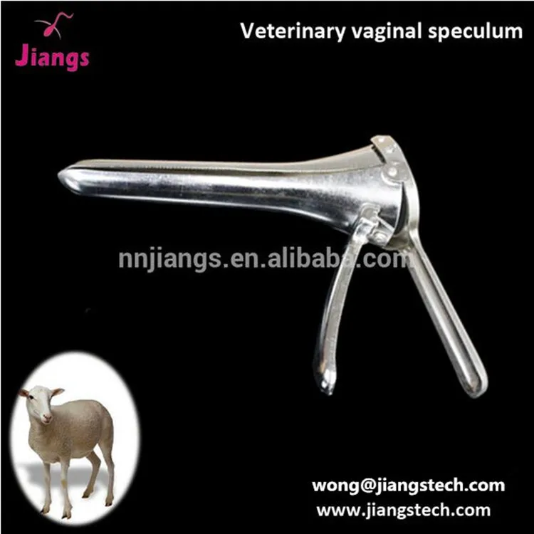 Peralatan Dokter Hewan Spekulum Vagina, untuk Sapi Domba dan Kambing ...