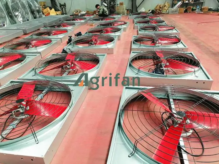 Agrifan brand poultry farming large dairy fan/ cowshed fan| Alibaba.com