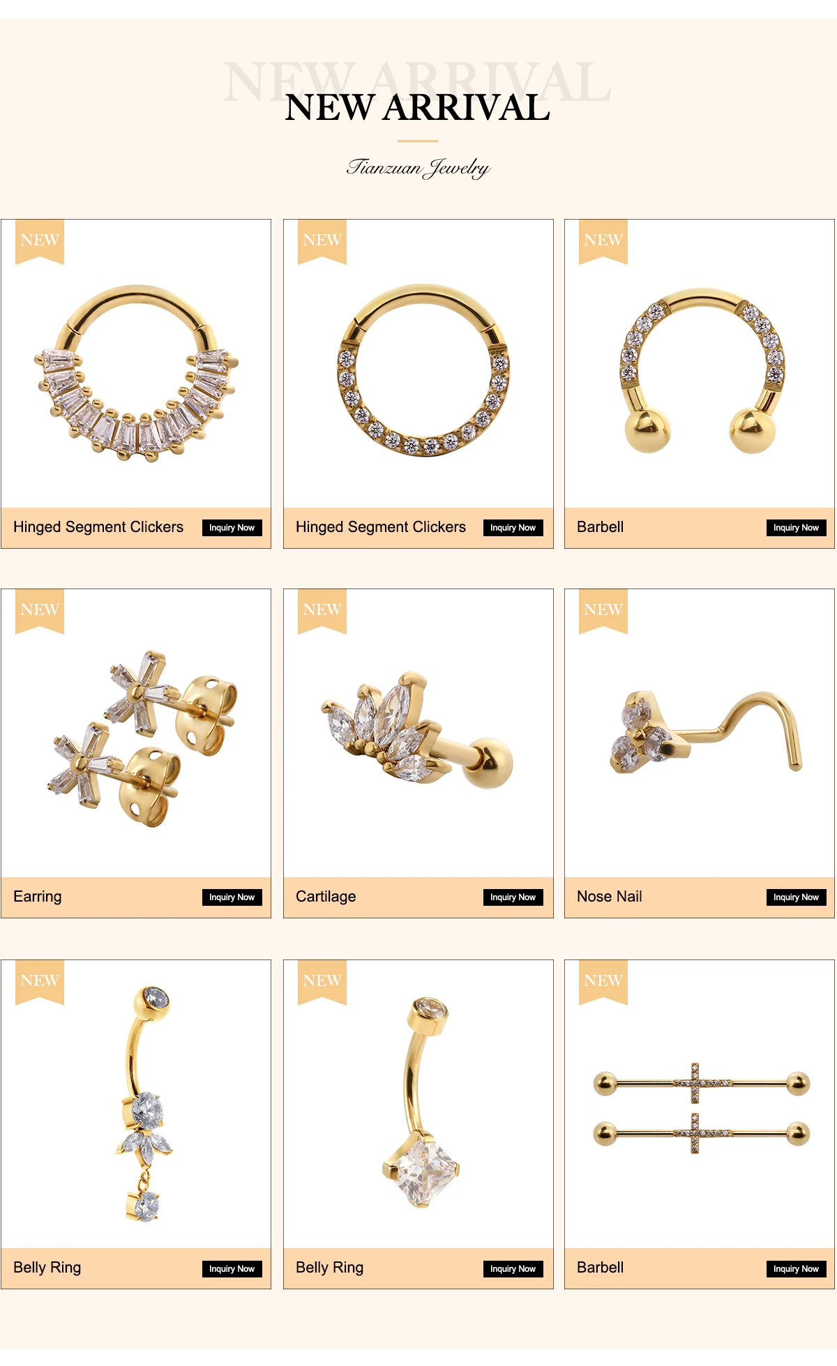 Dongguan Tian Zuan Jewelry Co., Ltd. - Body Piercing Jewelry, Hinged ...