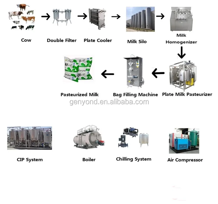 Cow Milk Production Process
