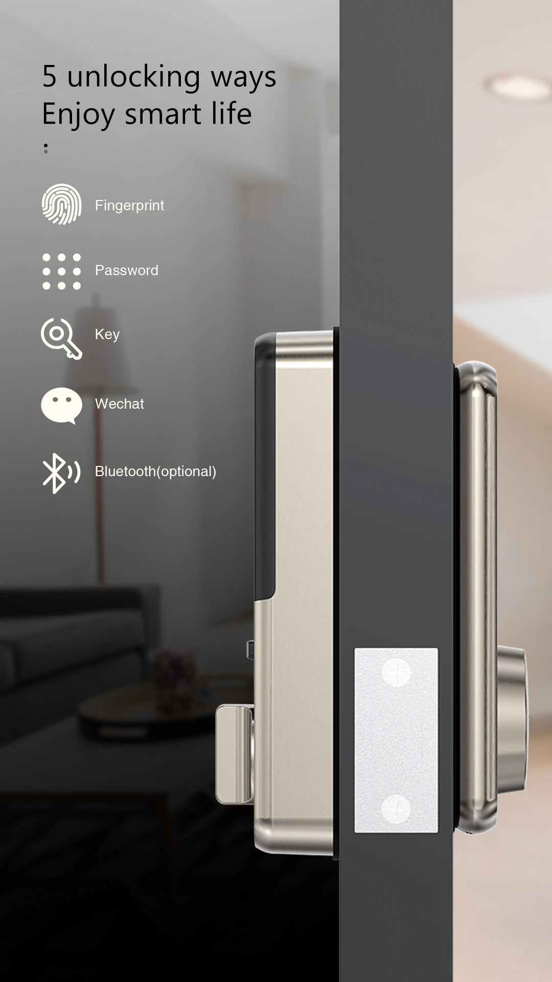 Malaysia Keyless Anti-peep Touch Password Smart Fingerprint Door Lock ...