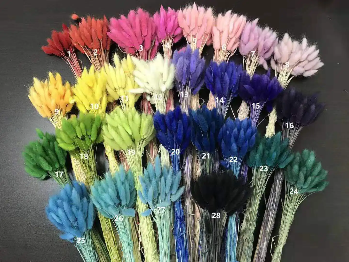 Dried Flower Bunch - Lagurus Ovatus Bunny Tails for Home Decor