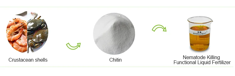 Organic Green Fertilizer - Chitson Liquid Manure for Plants
