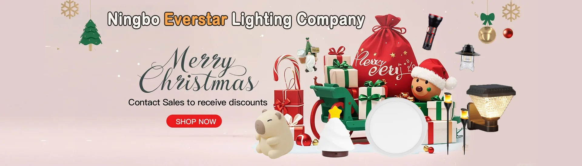 Company Overview - Ningbo Everstar Lighting Co., Ltd.