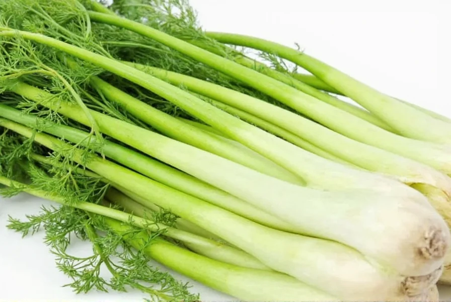 Fennel Nutrition Facts and Health Benefits