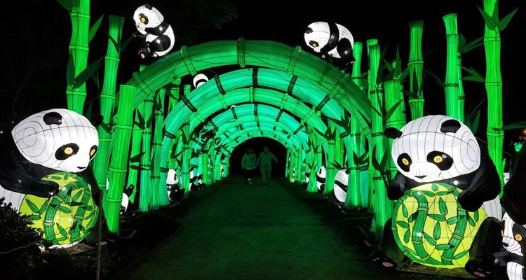 Traditional Chinese Panda Animal Ailk Fabric Light Lanterns Festival ...