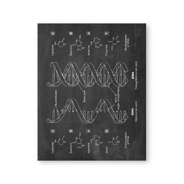 Dna Patent Wall Art Genetics Posters Print Biology Wall Decor Vintage ...