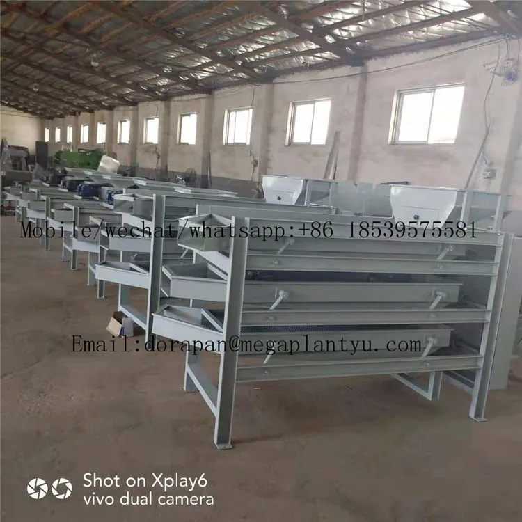 Automatic Pistachio Almond Peeler Sorting Grading Palm Kernel ...