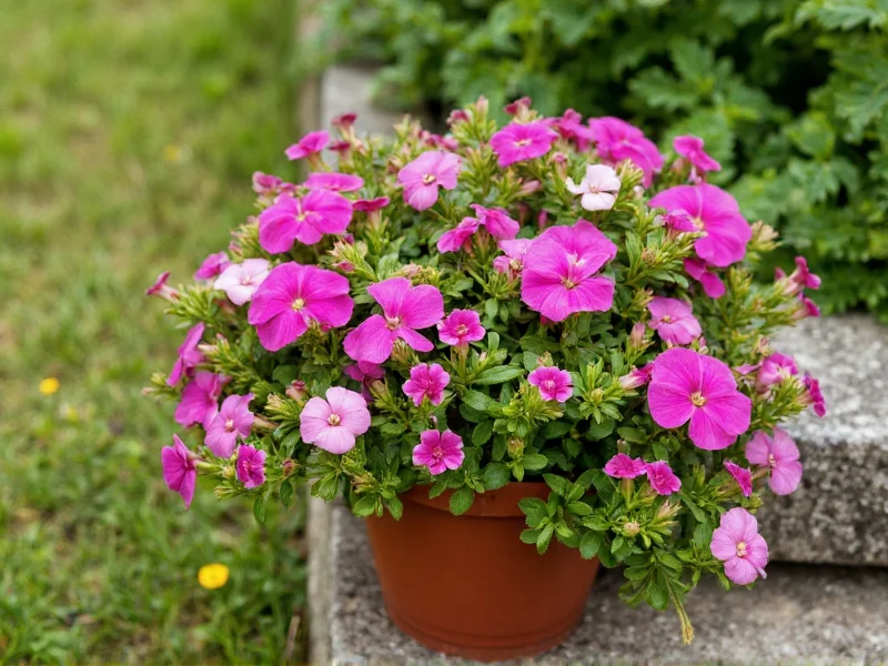 Best Flowering Container Plants: Complete Growing Guide