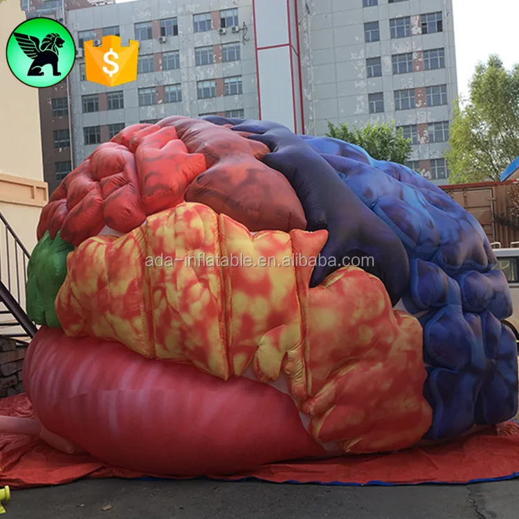 Inflatable Brain - Customized Giant Event Replica for Adults