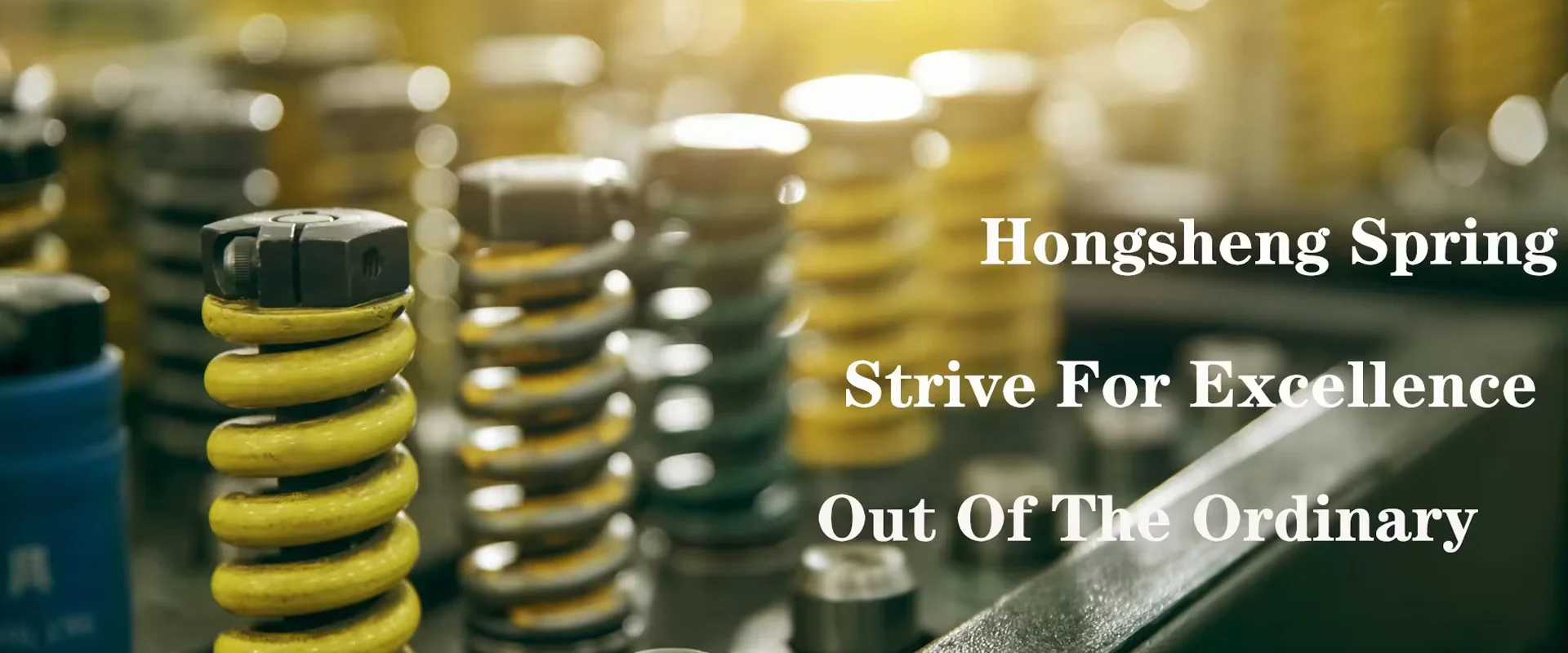 Company Overview - Xiamen Hongsheng Hardware -Spring Co., Ltd.