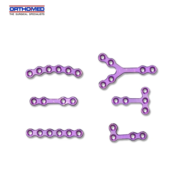 Maxillofacial Plate Orthopedic Mini Plate Orthopedic Titanium Plate ...