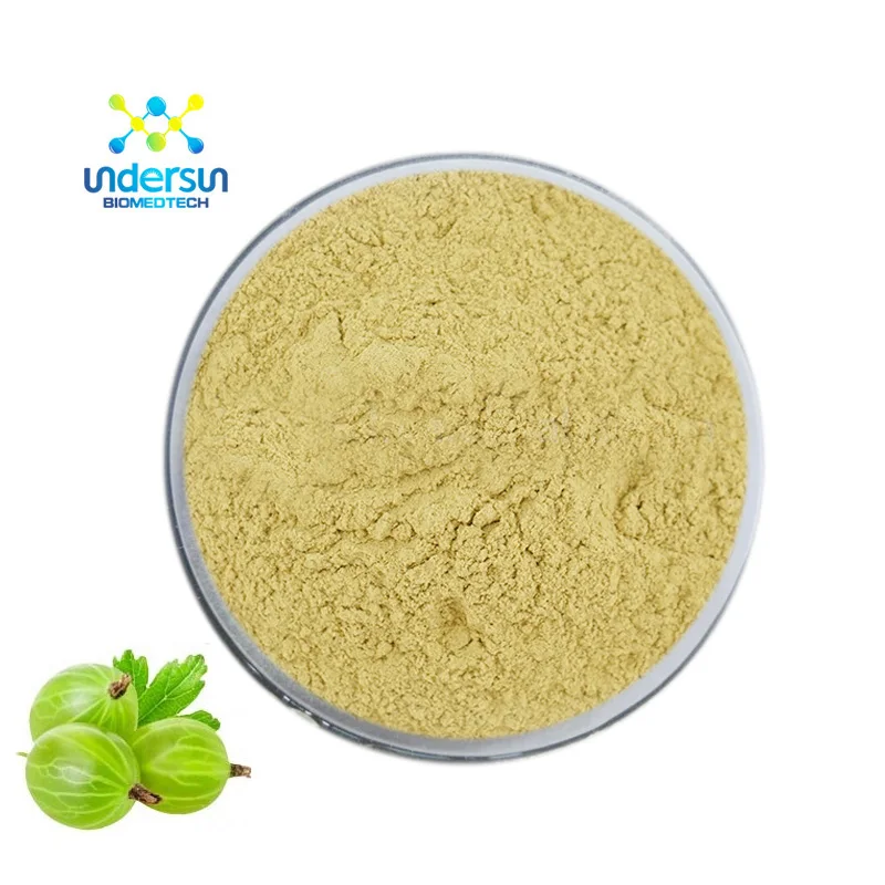 Natural Anti-oxidation Product Organic Amla Gooseberry Extract Powder ...