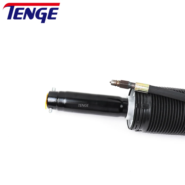 Front Hydraulic Shock 2203208313 Abc Active Body Control Strut For ...