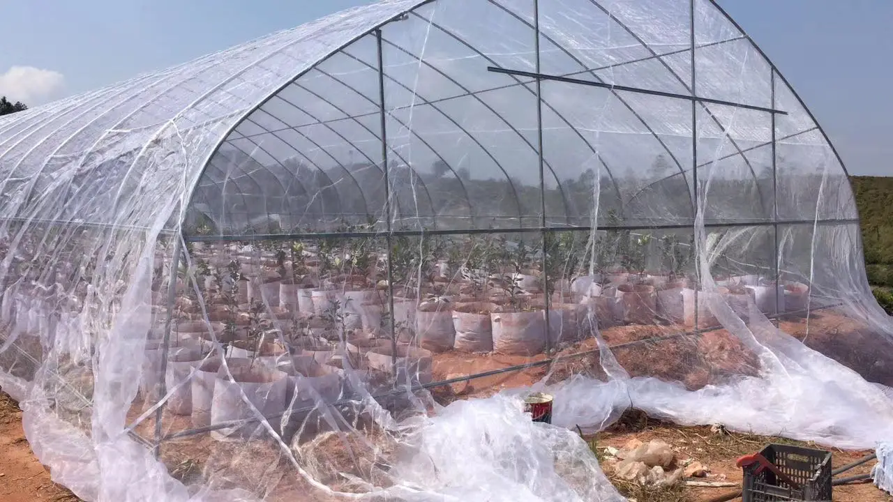 UV Resistance Plastic Insect Proof Mesh - Suntex-3