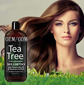 Private Label Pure Tea Tree Oil Special Anti-dandruff Shampoo For ...