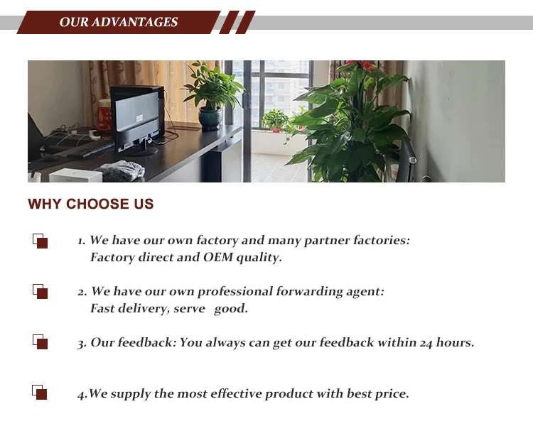 Genuine Piezo Injector 0445117005 for Common Rail Systems