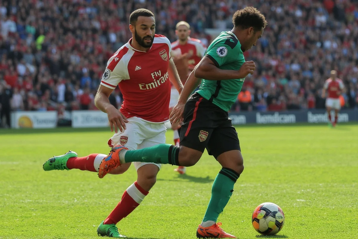 What Is a TFL in Football? Definition & Stats Explained