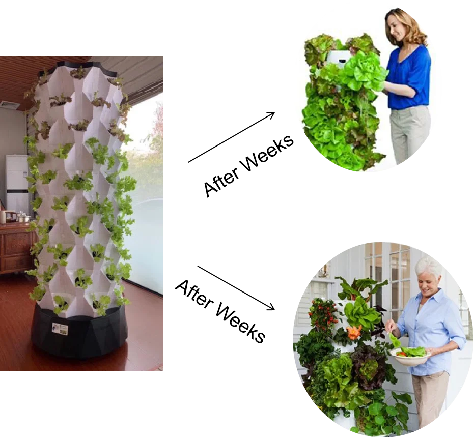 Vertical Hydroponic Tower Kit with LED Grow Lights