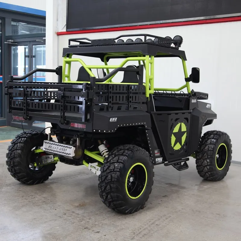 2 Seat Gasoline Buggy 1000cc UTV 4x4 - EPA Certified