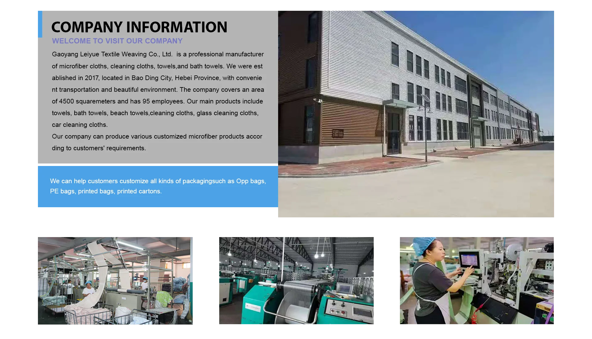 Company Overview - Gaoyang Leiyue Textile Weaving Co., Ltd.