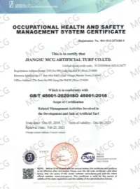 Company Overview - MCG Industry Group Inc.