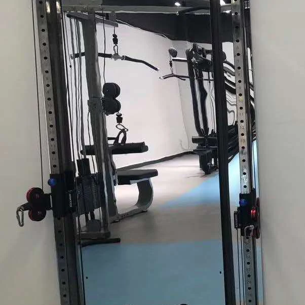 2020 Wall Mounted Single Cable Multi Functional Trainer
